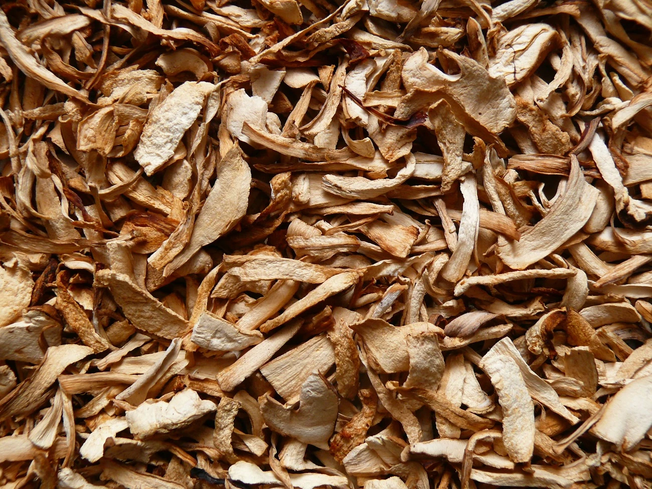 Sušené dubáky (hríby) - Potraviny, nápoje