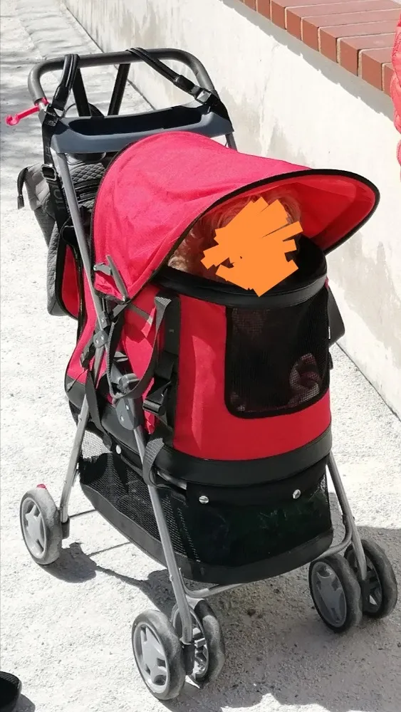 Kocik pre psa - Služby pre zvieratá